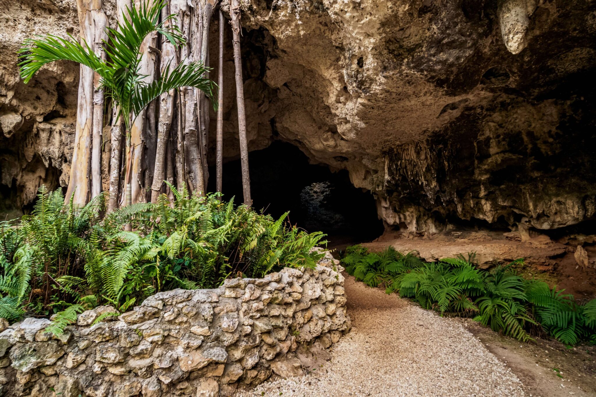 Explore Rum Point, The North Side Of Grand Cayman Island